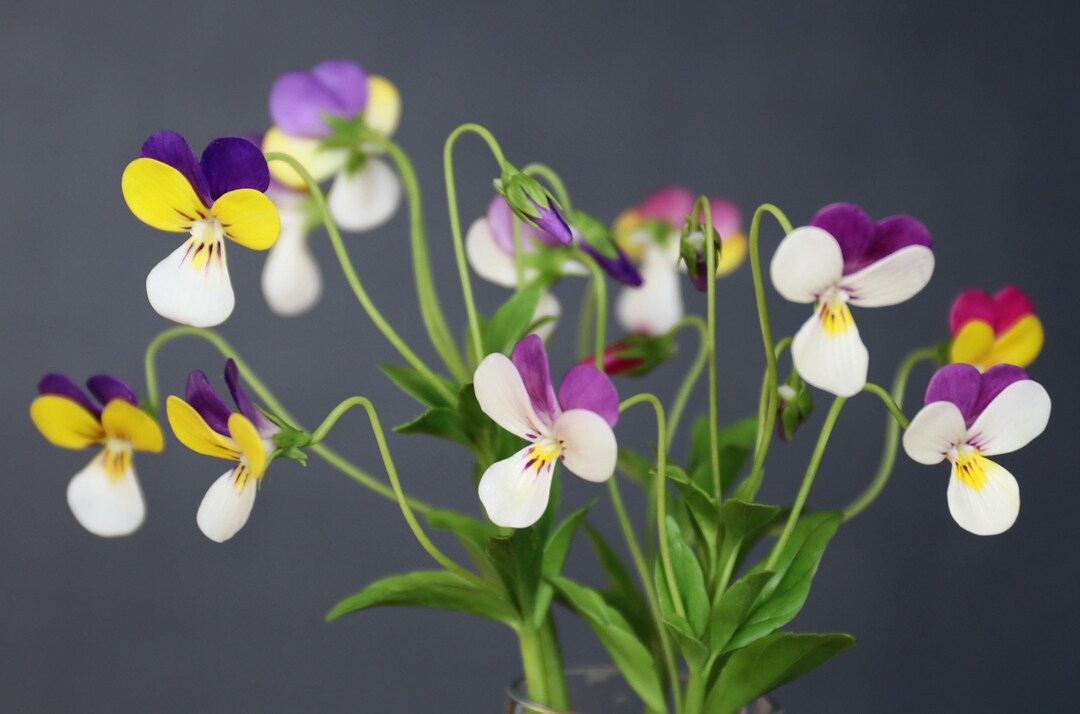 Clay Pansy Bouquet: Realistic Viola Tricolor, Real Touch Flower - Etsy