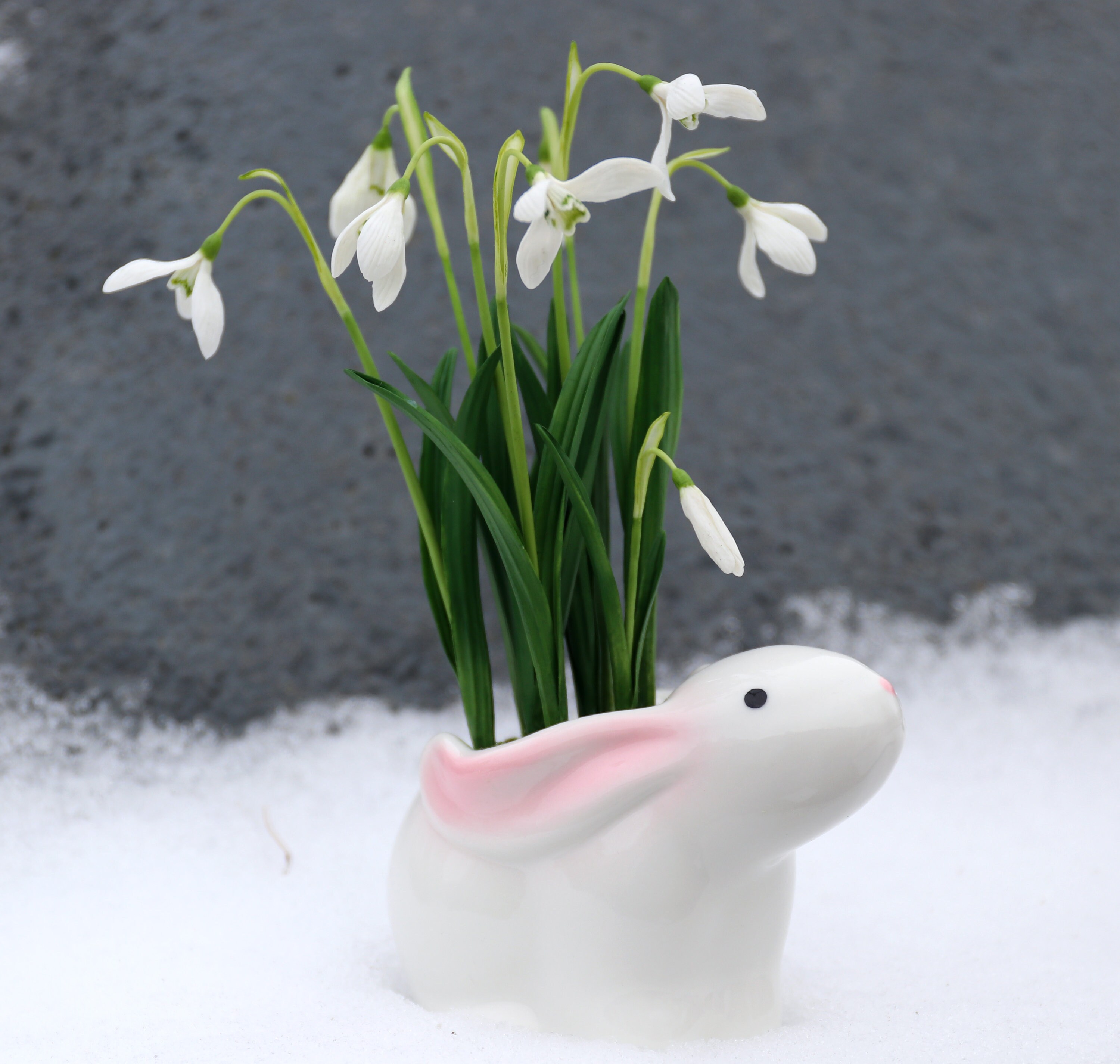 Snowdrops, Spring Flowers, Real Touch Flowers, Realistic Spring Flowers ...