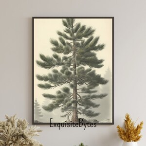 Vintage Pine Tree Illustration, Botanical Art, Rustic Home Decor ...