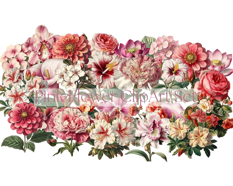 Pink Flowers Clipart Bundle, 26 Vintage PNG Paintings Set, Floral Cards ...