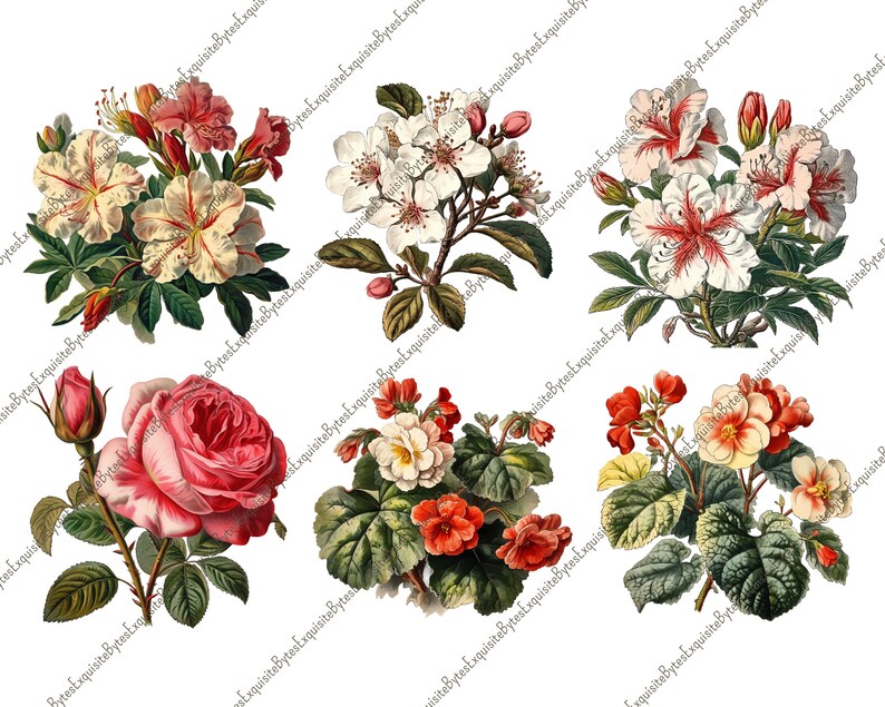 Pink Flowers Clipart Bundle, 26 Vintage PNG Paintings Set, Floral Cards ...
