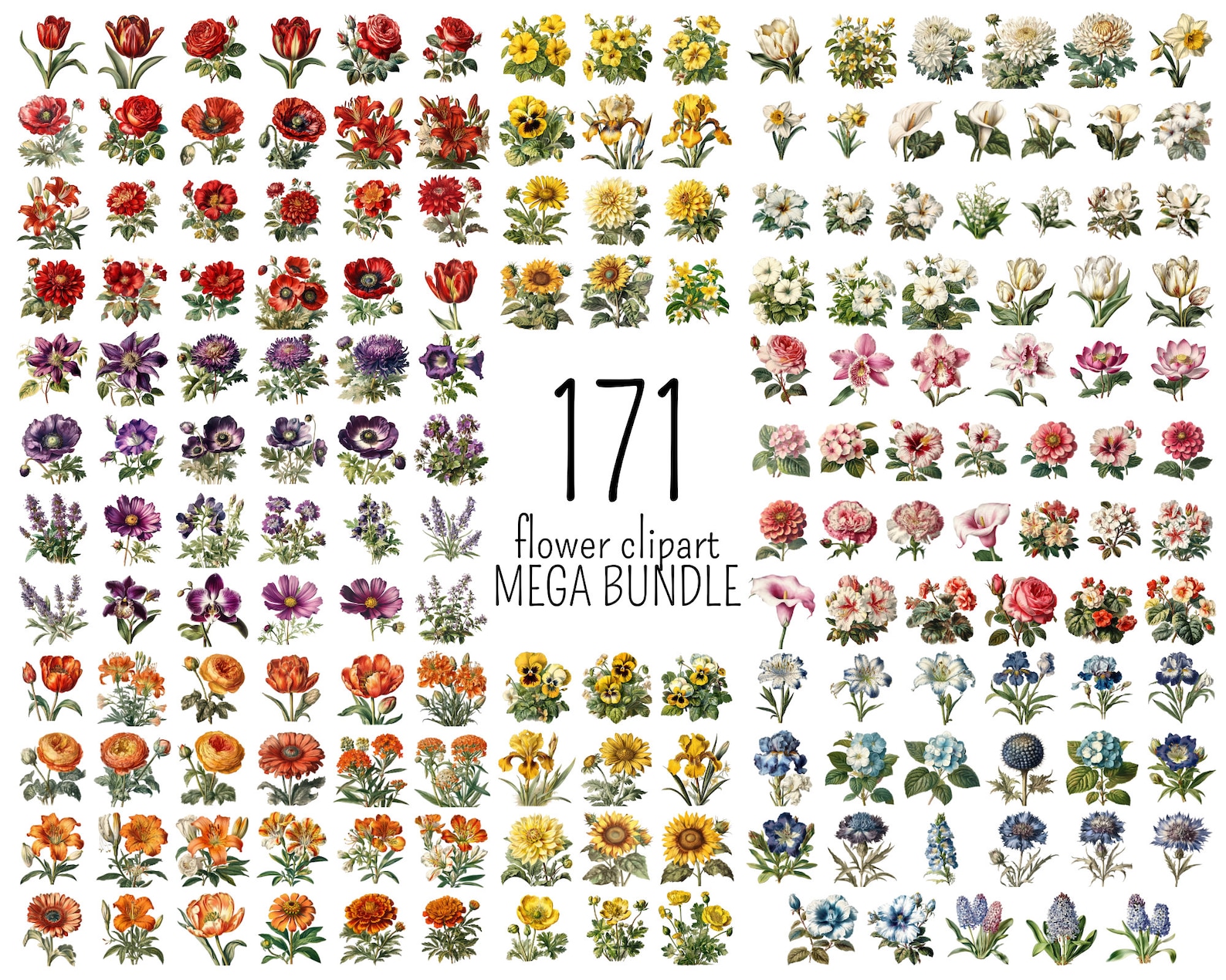 Flower Clipart Mega Bundle, 171 Vintage Flower PNG Paintings Set ...