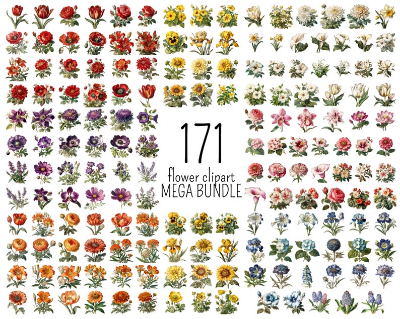 Flower Clipart Mega Bundle, 171 Vintage Flower PNG Paintings Set ...