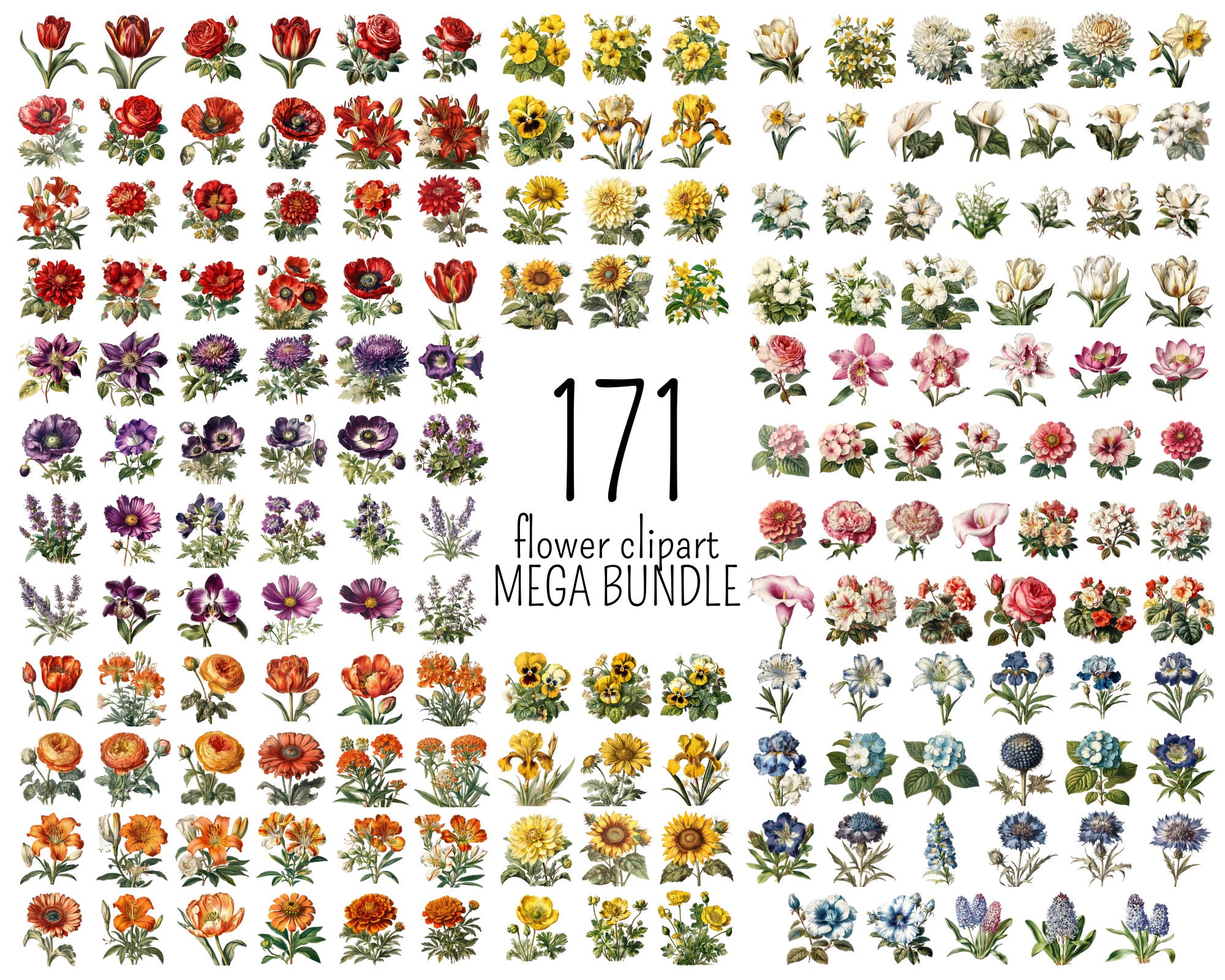 Flower Clipart Mega Bundle, 171 Vintage Flower PNG Paintings Set ...