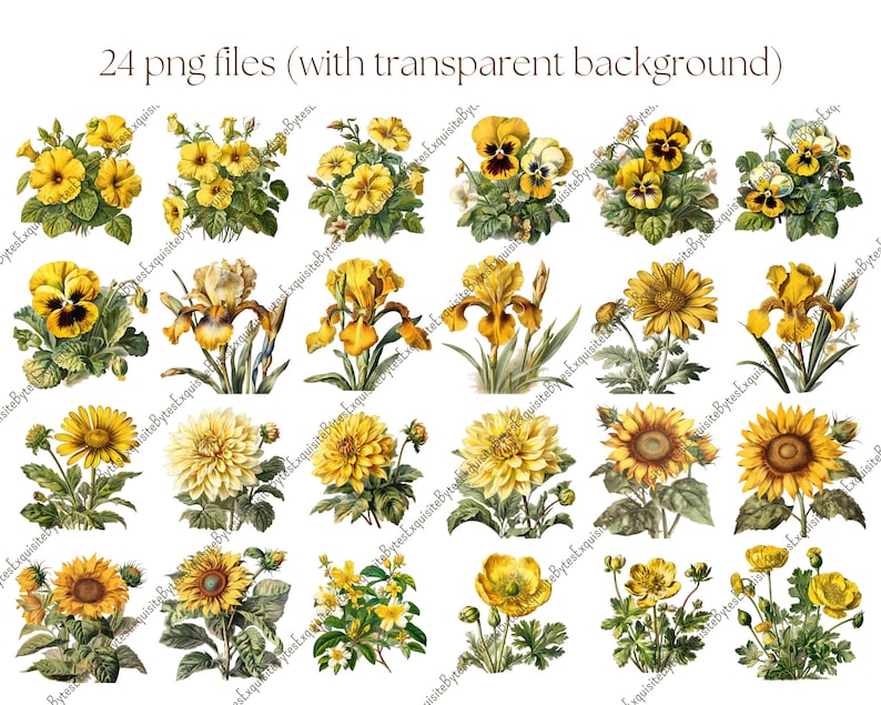 Flower Clipart Mega Bundle, 171 Vintage Flower PNG Paintings Set ...