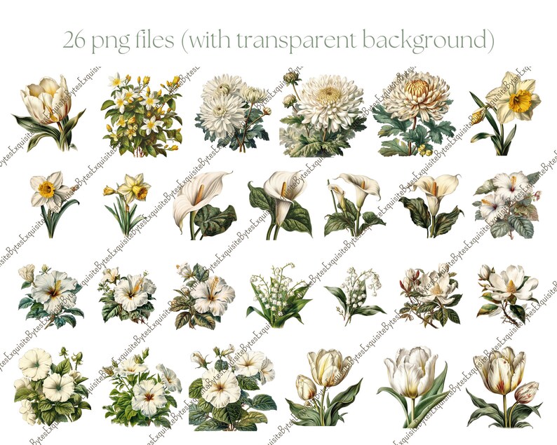 Flower Clipart Mega Bundle, 171 Vintage Flower PNG Paintings Set ...