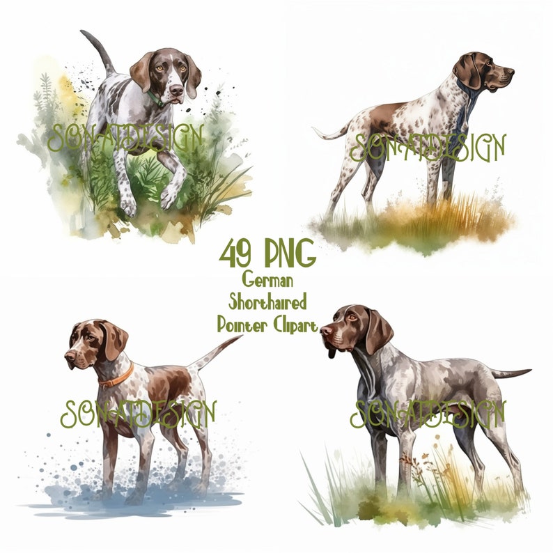 German Shorthaired Pointer Clipart, Cute Dog Clipart, German Pointer ...