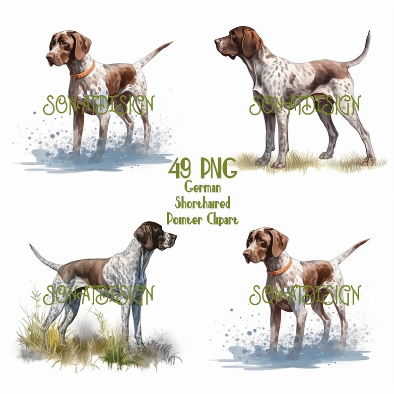 German Shorthaired Pointer Clipart, Cute Dog Clipart, German Pointer Watercolor 49 Quality ...