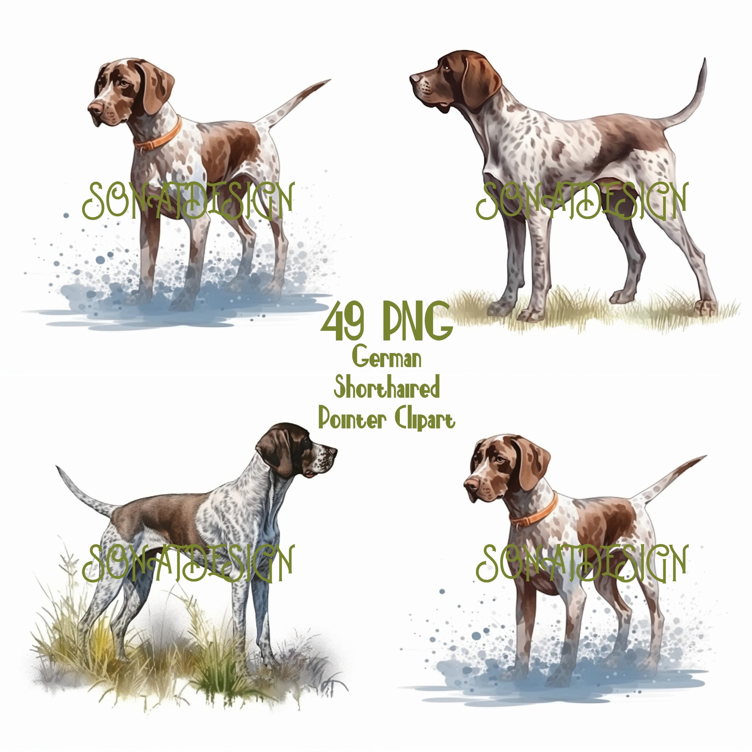 German Shorthaired Pointer Clipart, Cute Dog Clipart, German Pointer ...