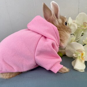 Bunny Hoodie - Soft & Trendy Small Pet Clothes for Rabbits, Ferrets ...