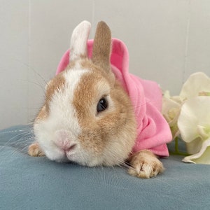 Bunny Hoodie - Soft & Trendy Small Pet Clothes for Rabbits, Ferrets ...