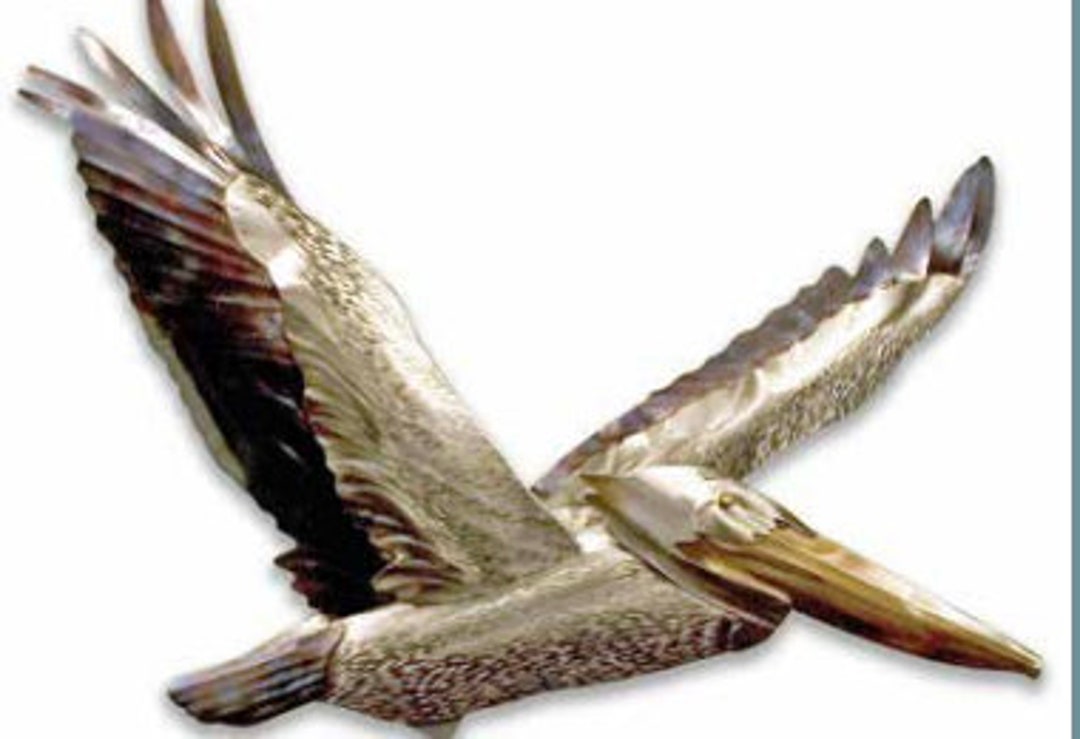 Pelican Flying Metal Wall Art MM133 Coastal Art - Etsy