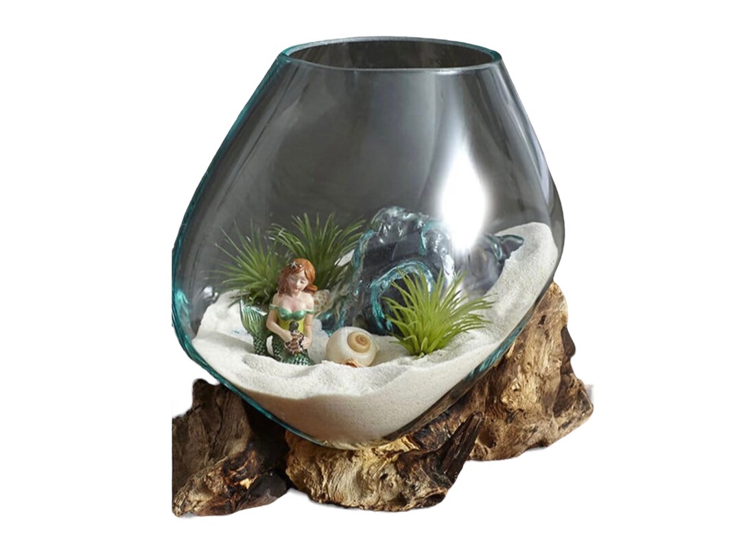Medlg Teak Wood Terrarium Hand Blown Glass & Teak Wood Root Terrarium ...