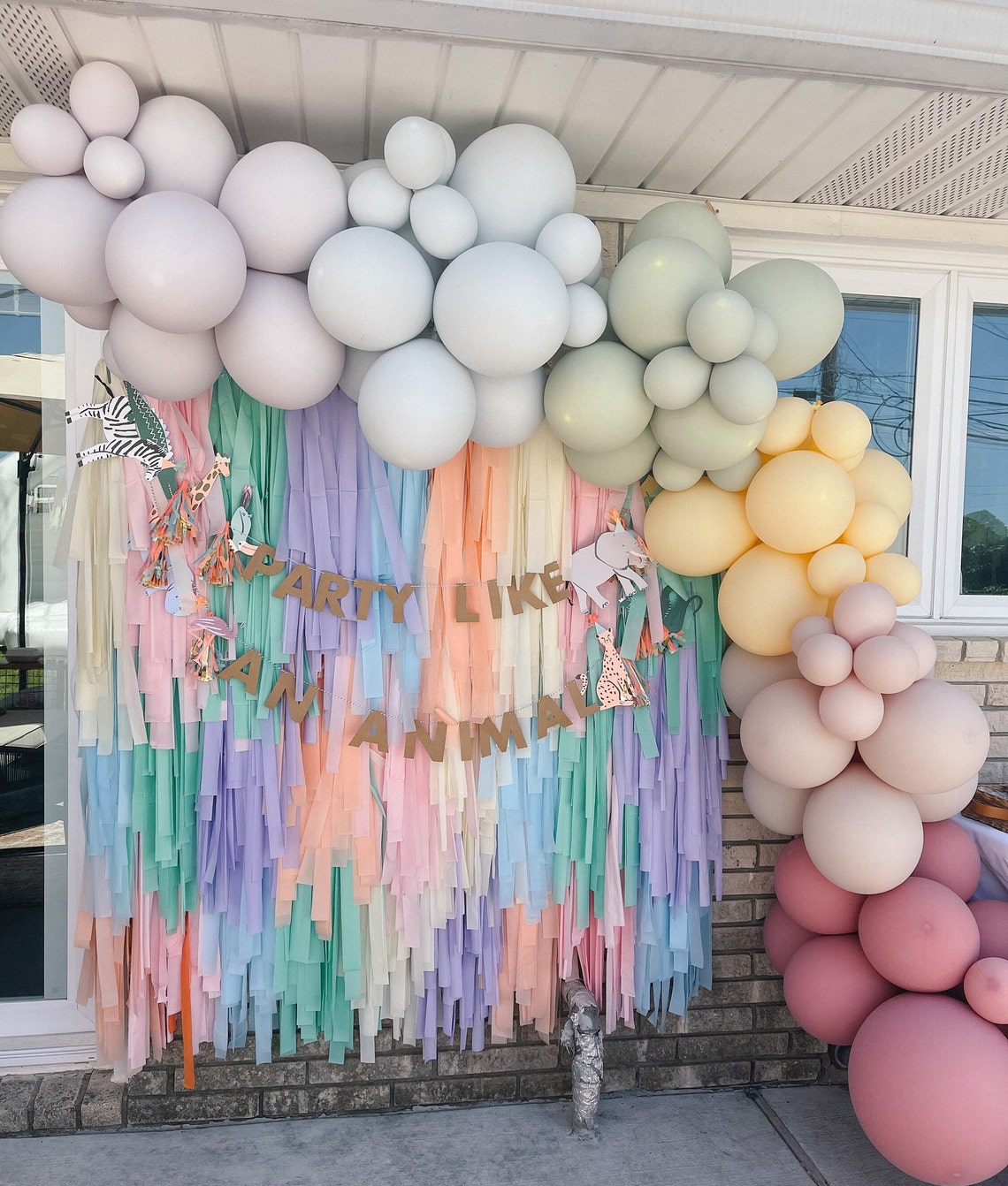 Pastel Fringe Photo Backdrop - Etsy