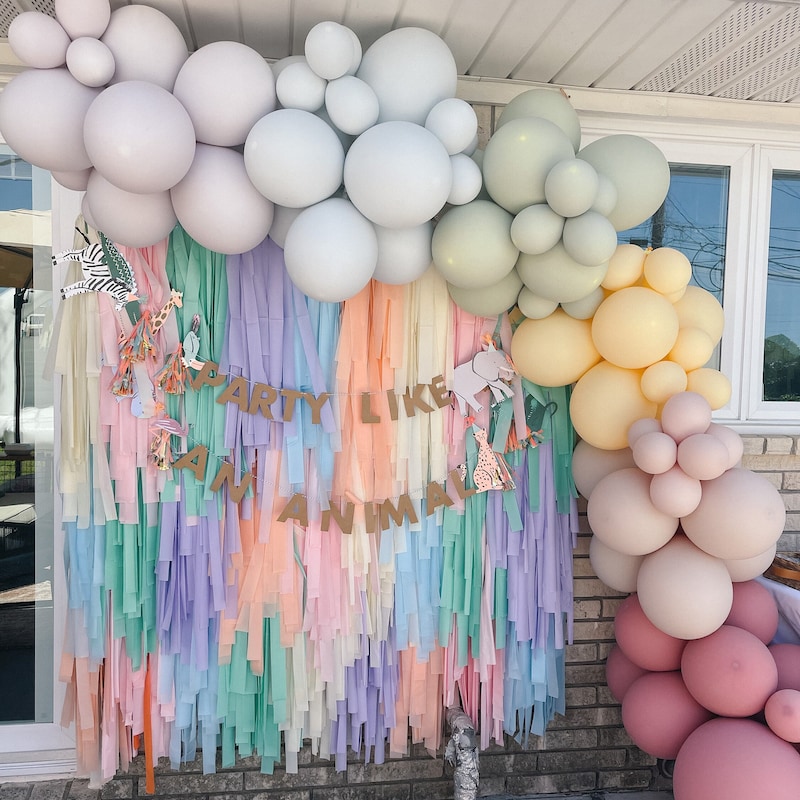 Fringe Backdrop - Etsy