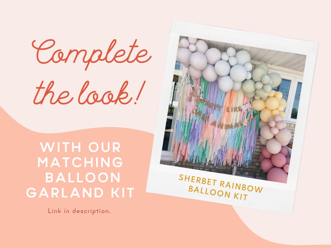 Pastel Fringe Photo Backdrop - Etsy