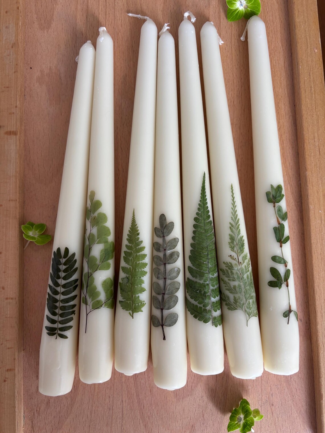 Pressed Flower Taper Candles Real Botanical Tapers Greens & Flowers ...