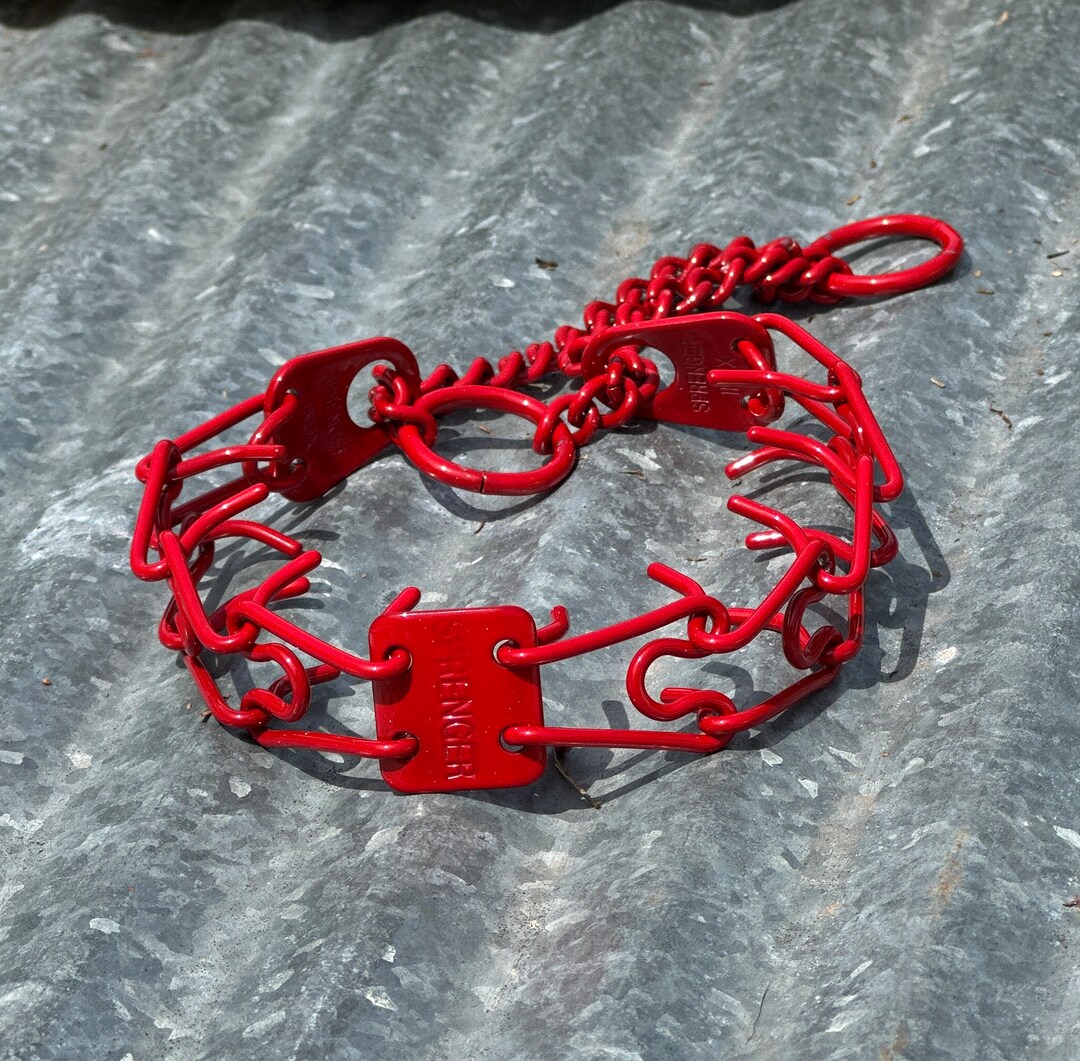 Custom Powder Coated Astatic Red Herm Sprenger Prong Collar - Etsy