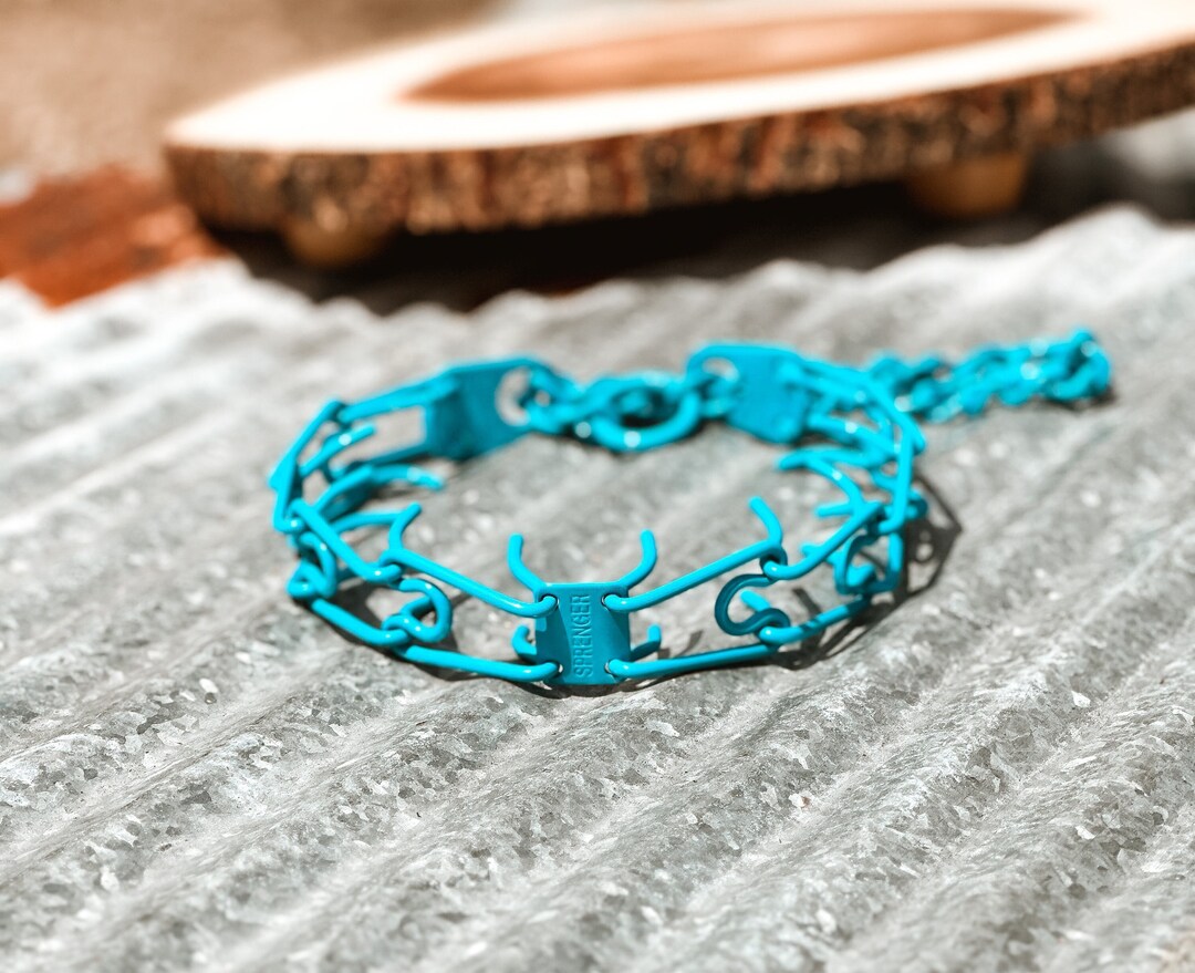 Custom Powder Coated Neon Blue Herm Sprenger Prong Collar for - Etsy
