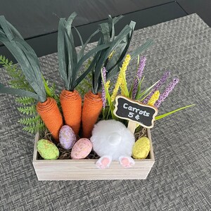 Bunny Butt Carrot Patch - Etsy