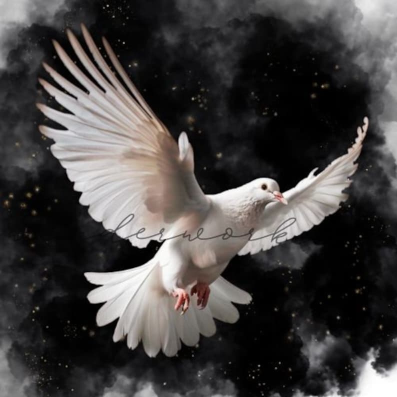 Beautiful White Doves Wedding Overlay Clip Art Bundle Transparent PNG ...