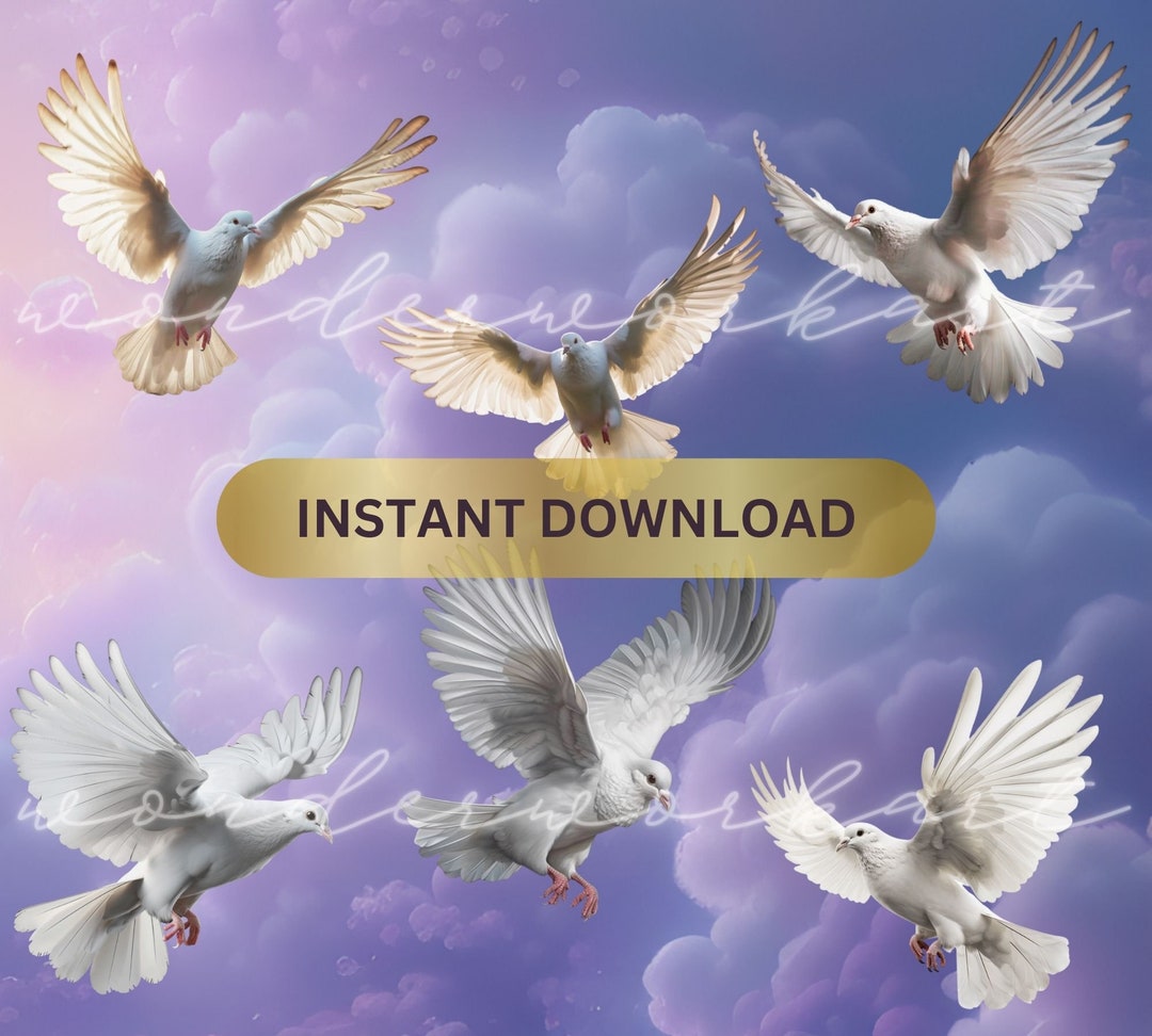 Beautiful White Doves Wedding Overlay Clip Art Bundle Transparent PNG ...