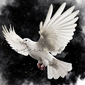 Beautiful White Doves Wedding Overlay Clip Art Bundle Transparent PNG ...