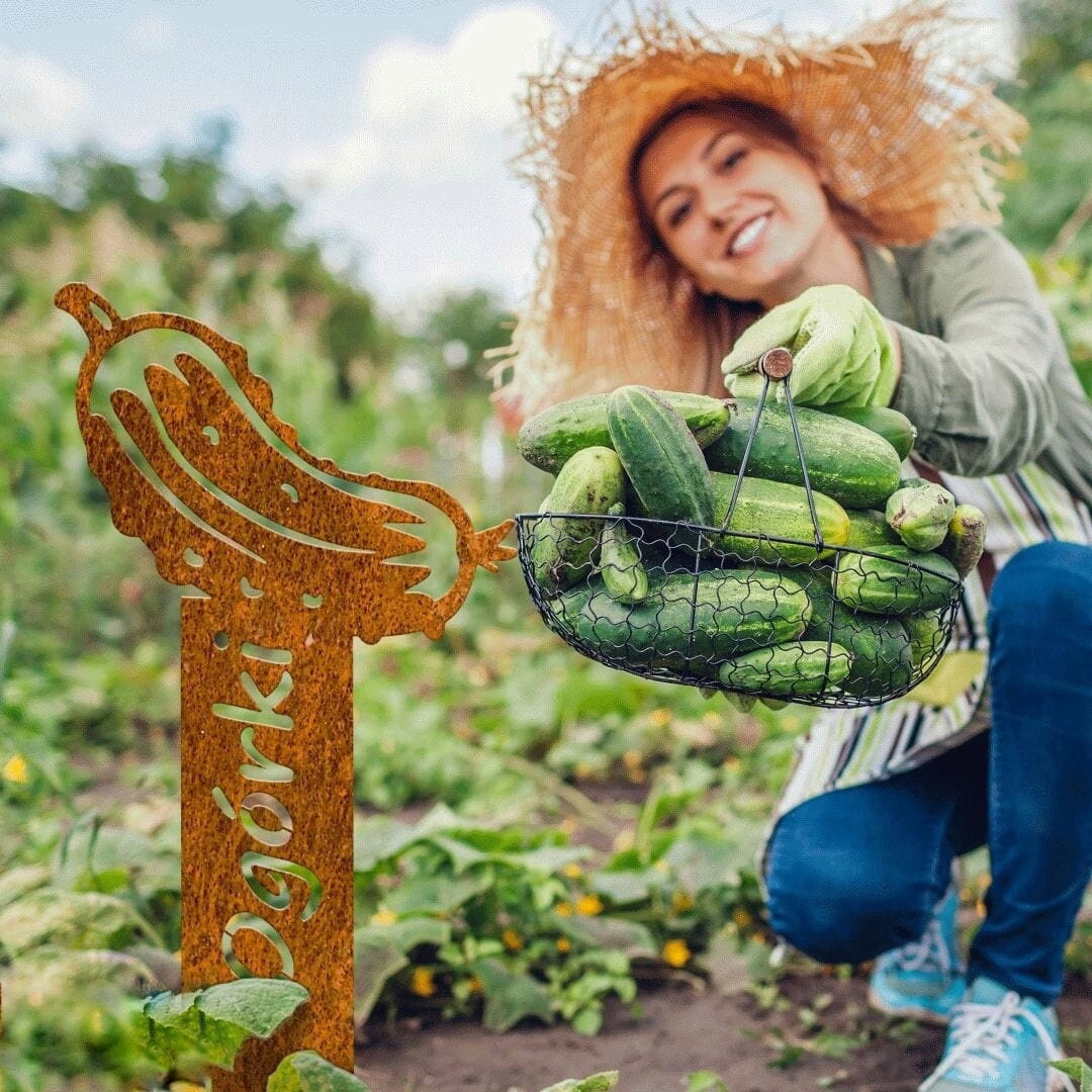 Personalized Cucumbers Tag Metal Sign • Custom Veg & Herb Labels Steel ...