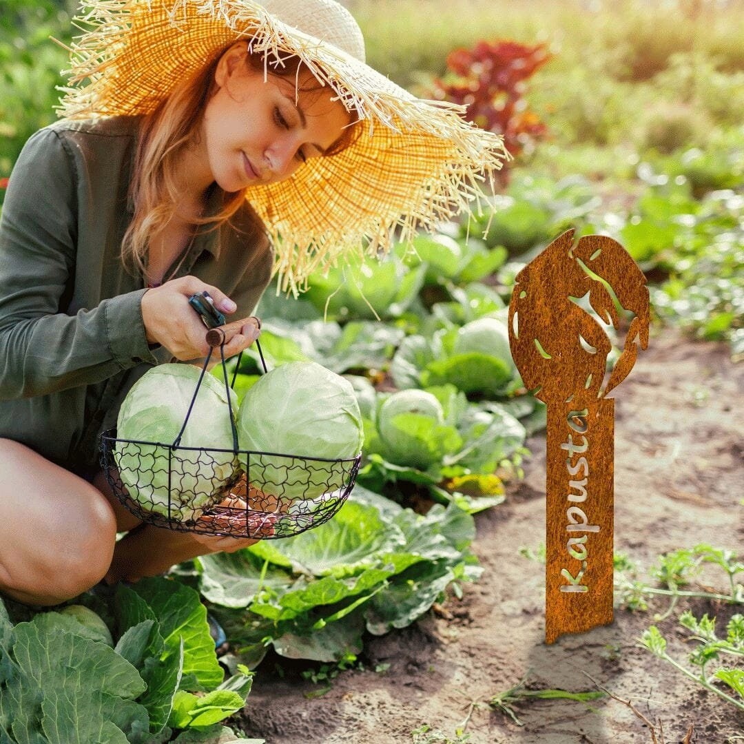 Personalized Cabbage Tag Metal Sign • Custom Veg & Herb Labels Steel ...