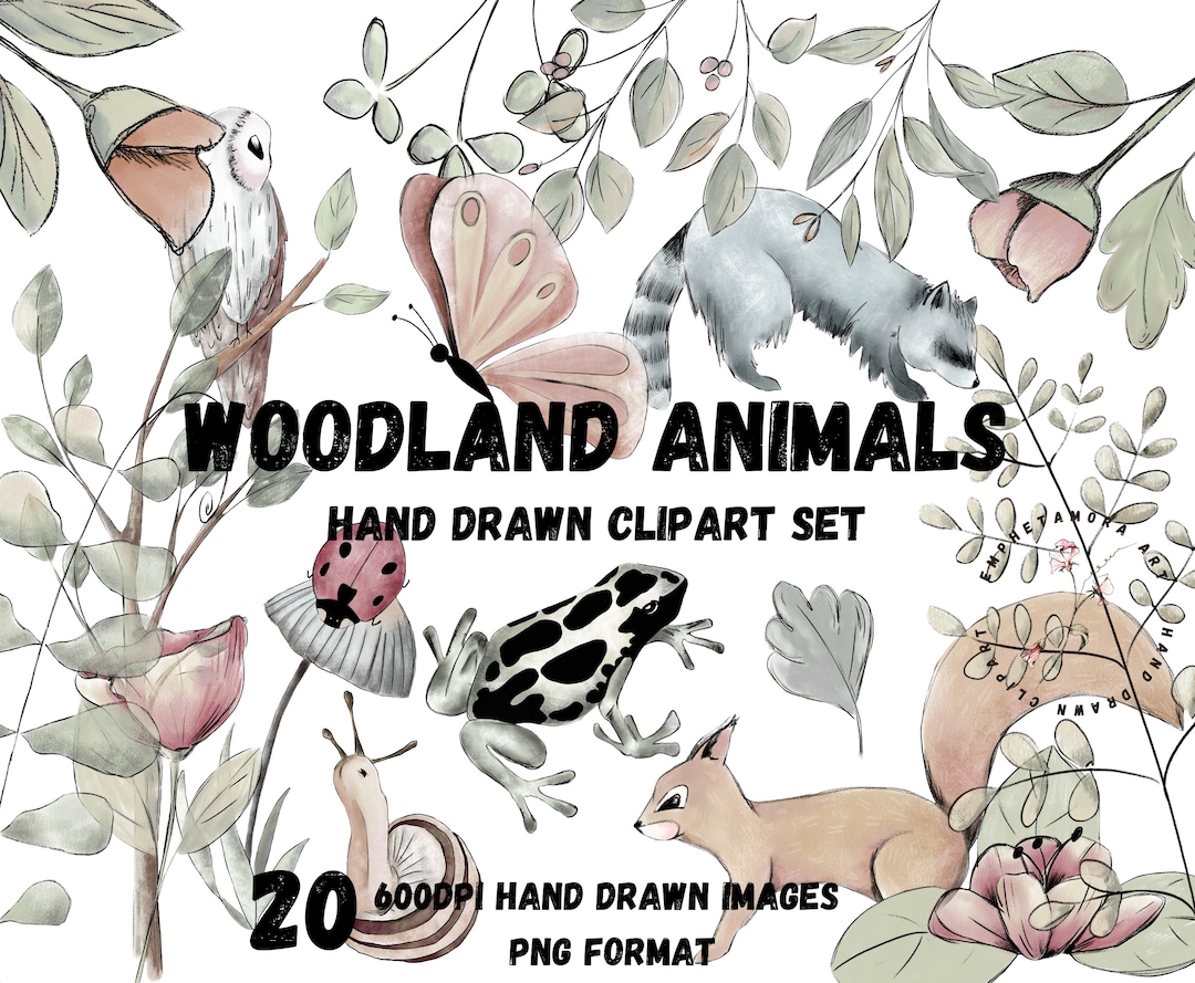 Woodland Animals Clipart for Commercial Use, Transparent PNG, Neutral ...