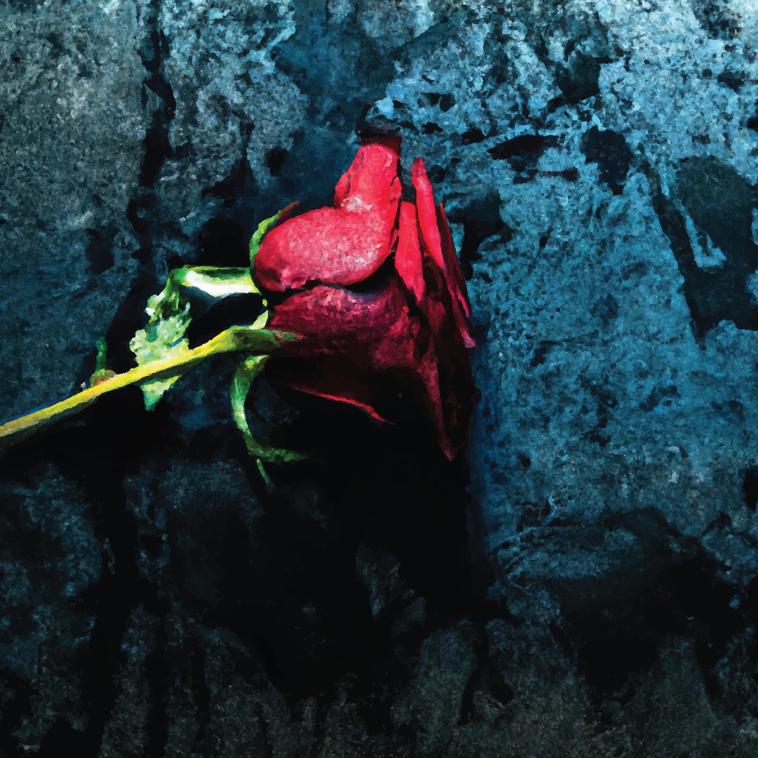 Digital Download, Roses Fighting Against Emotional Athleticism, Flora ...