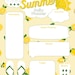 Digital Planner, Summer Theme, Undated, Ipad, Daily Planner, Weekly ...