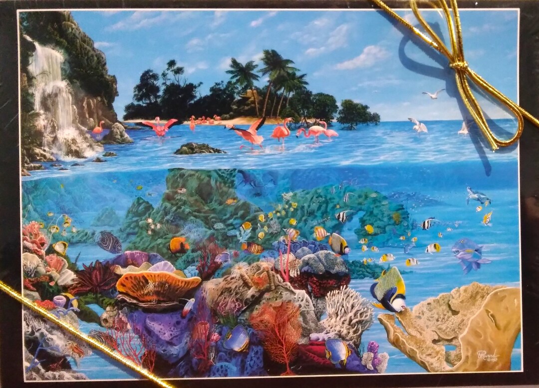 UNDERSEA Note Cards Collection #3 Pack of 6 Colorful Blank All ...