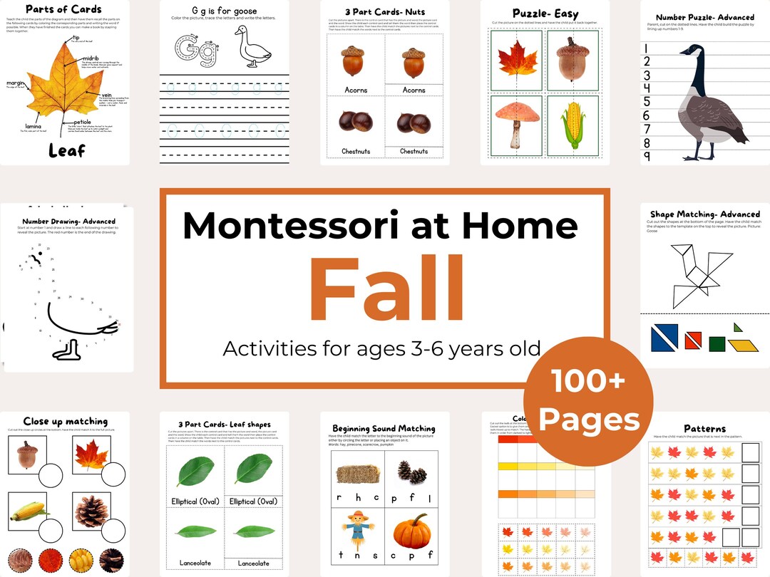 Montessori Fall Unit Printable - Etsy