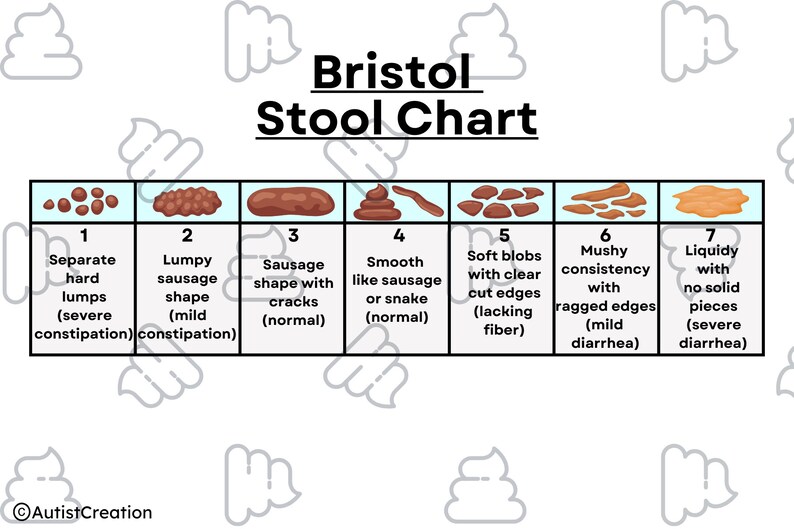 VERSION 2.0 UPDATED | Daily Bowel Movement Tracker Sheet | Irritable ...