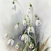 Snowdrop Painting Watercolor Digital Print Wall Decor, Pastel Colors ...
