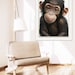 Cute Printable Monkey Wall Art, Baby Monkey Art Cartoon Style Digital ...