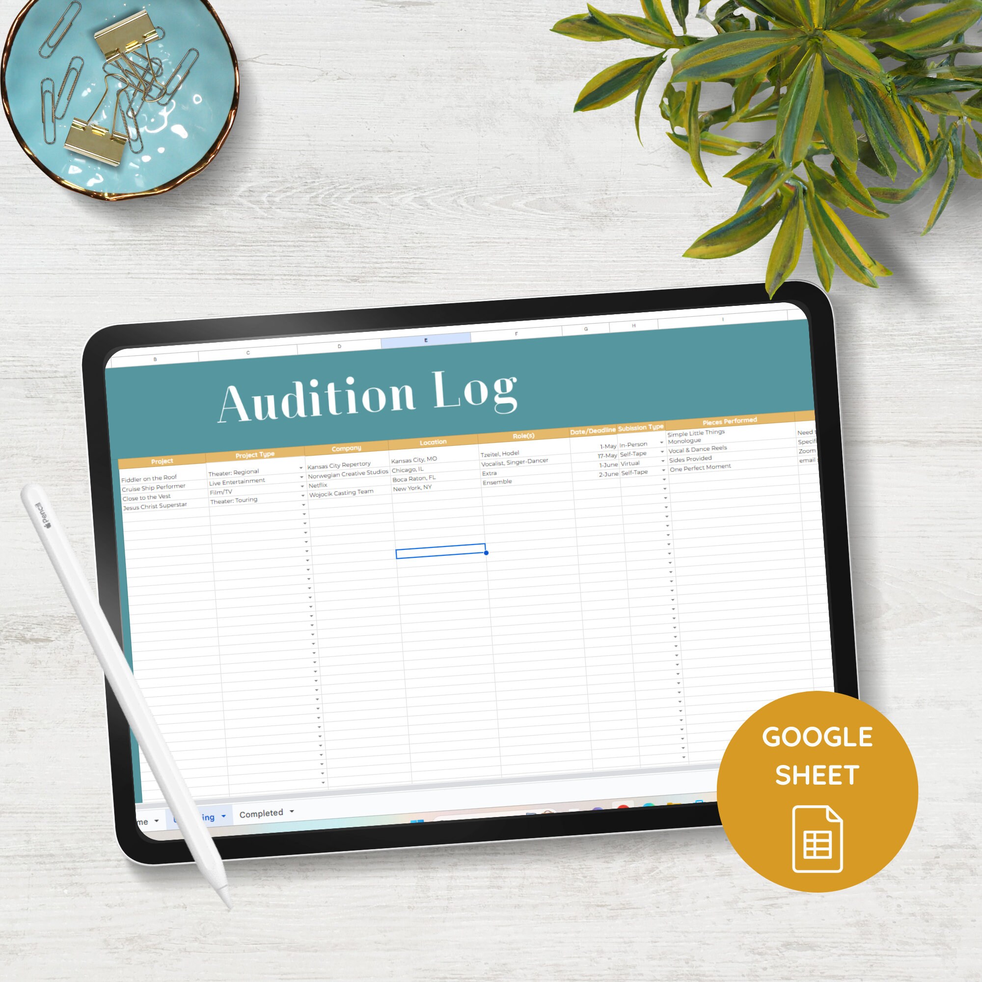 Performer's Audition Log, Google Sheets INSTANT DOWNLOAD, Tracker for ...