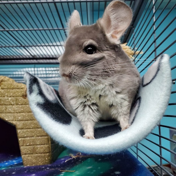 Chinchilla Cage Accessories - Etsy