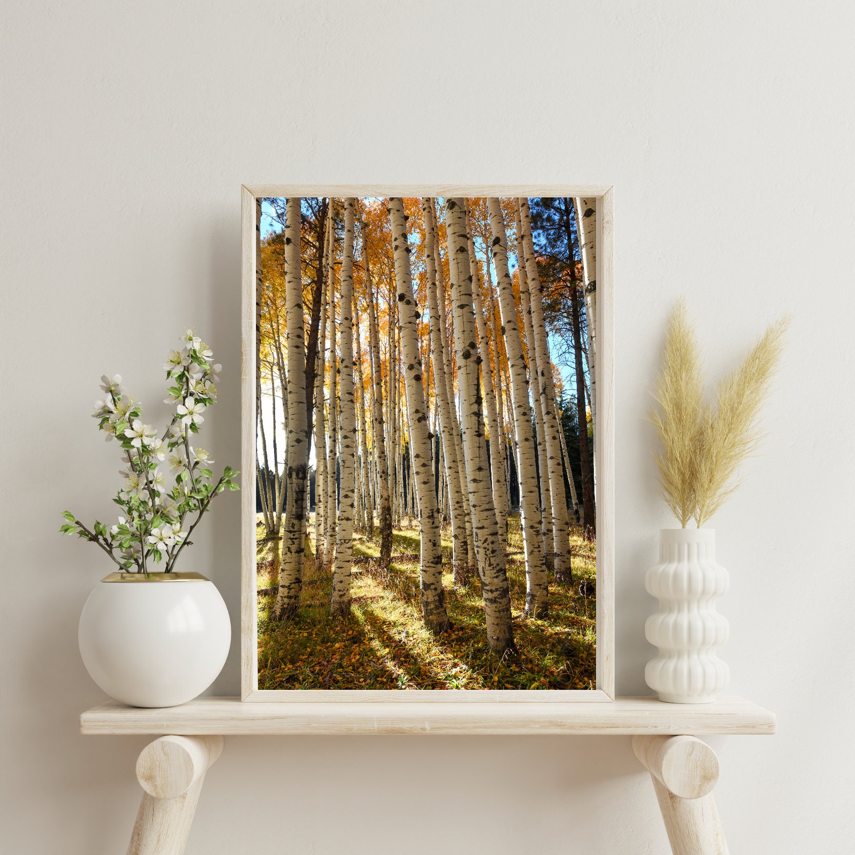 Digital Download - Aspen Trees in Fall on the San Francisco Peaks ...