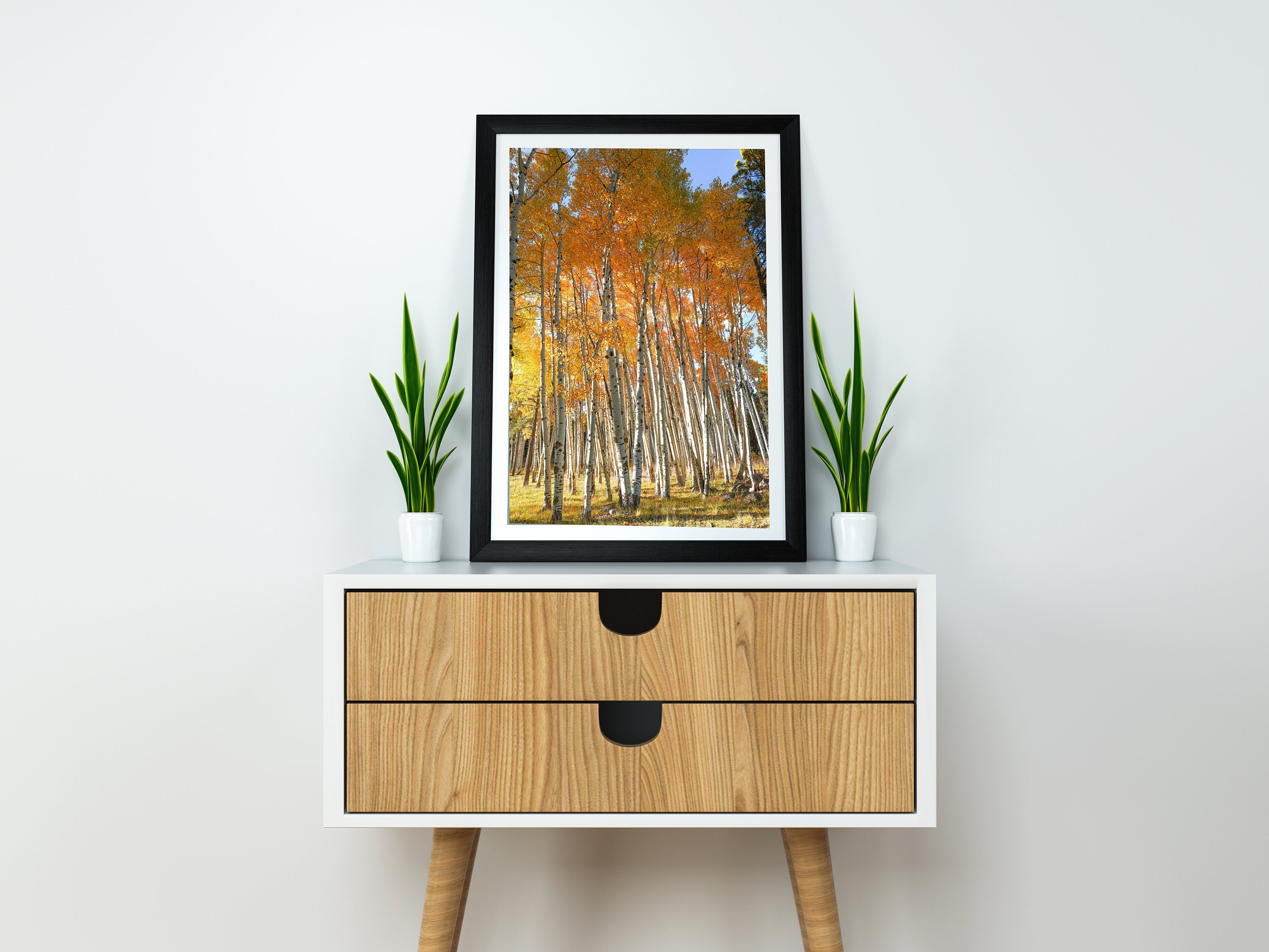 Digital Download - Aspen Trees in Fall on the San Francisco Peaks ...