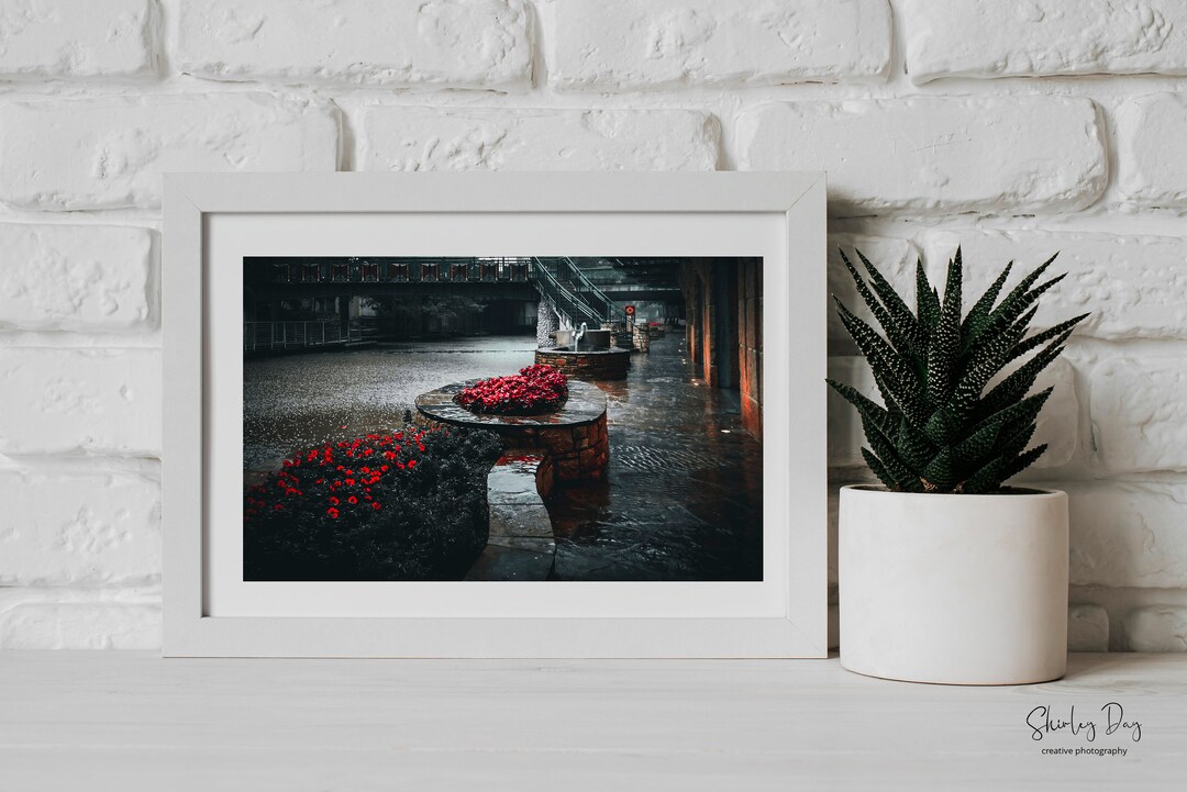 San Antonio Riverwalk Print: Texas Rainstorm Art With Red Flowers - Etsy
