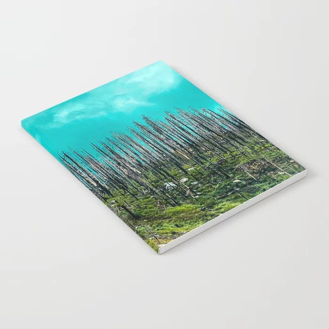 6x8 Notebook, Forest Landscape Photo, Softcover Notebook, Lined Journal ...