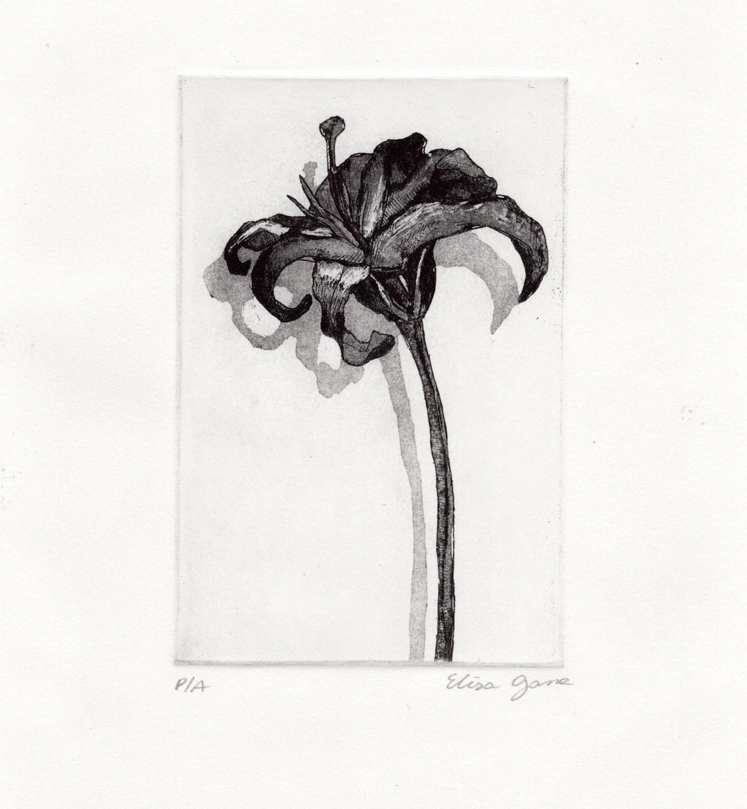Original Printmaking Etching Flower - Etsy