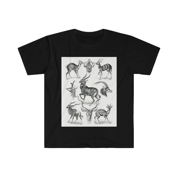 Antelope T Shirts - Etsy