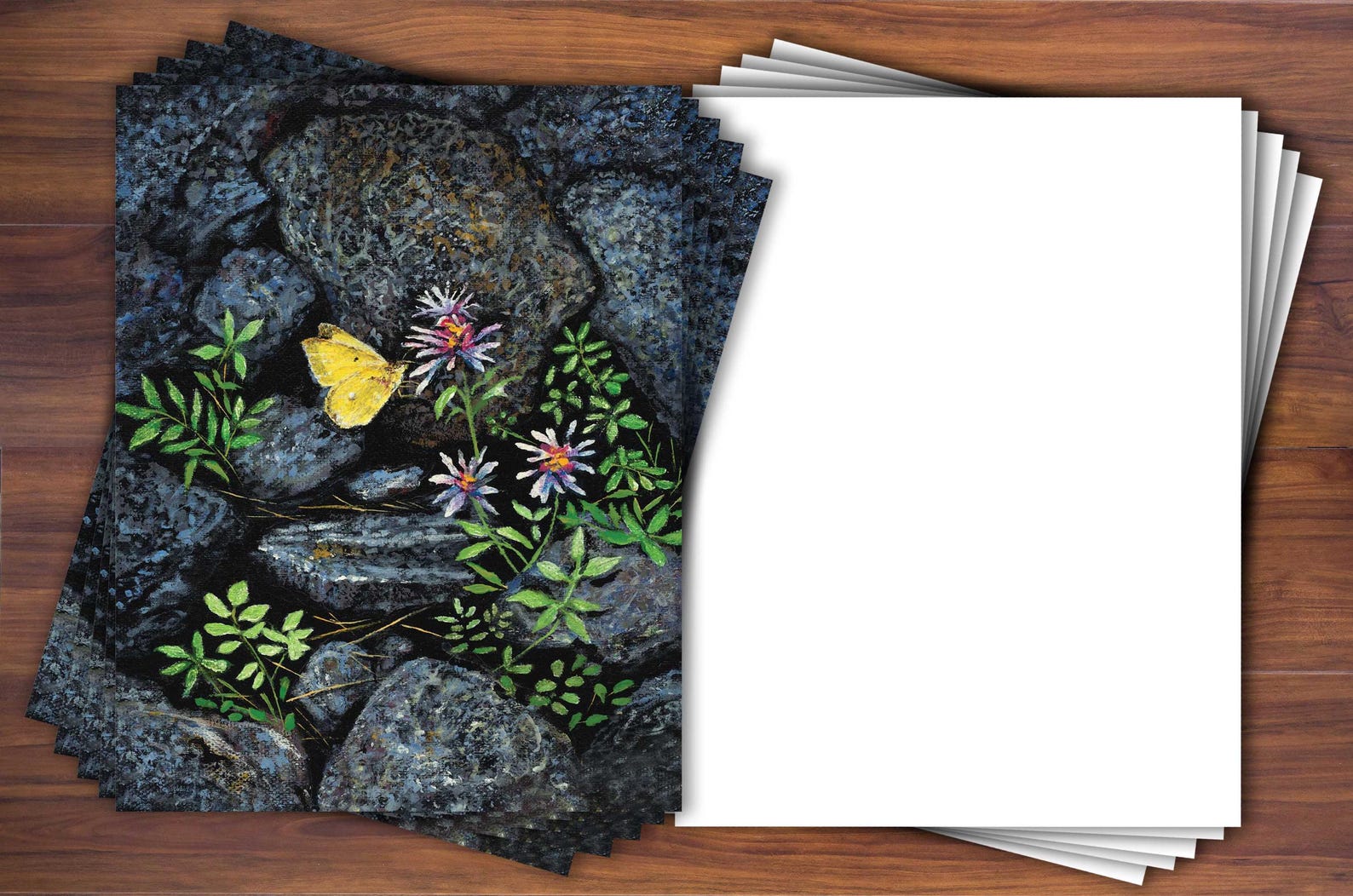 Sulfur Butterfly Visiting a Purple Daisy Note Card Boxed Set of 5 With ...