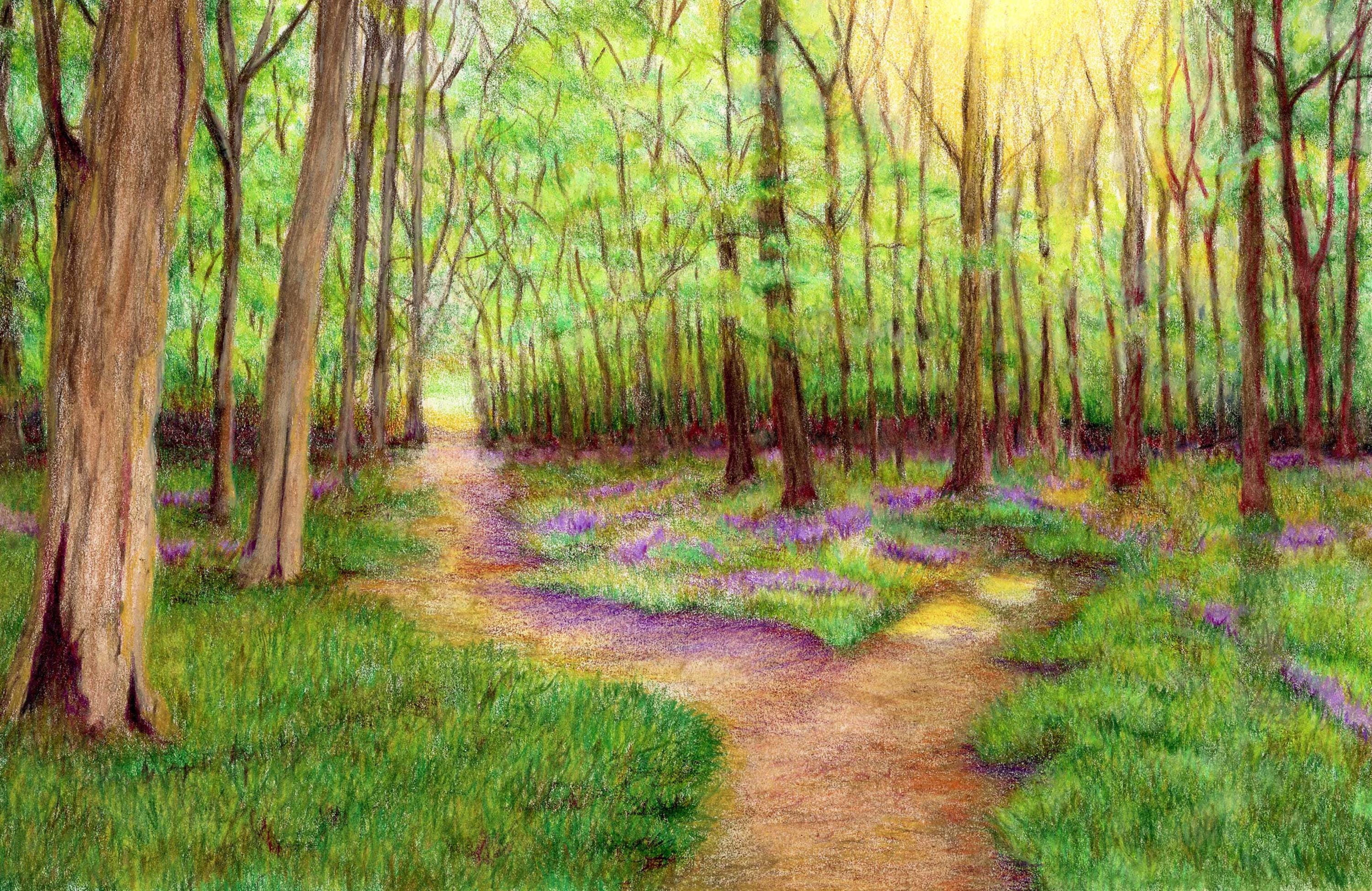 Forest Crossroads Note Card: Color Pencil Art by Robin Lybeck - Etsy