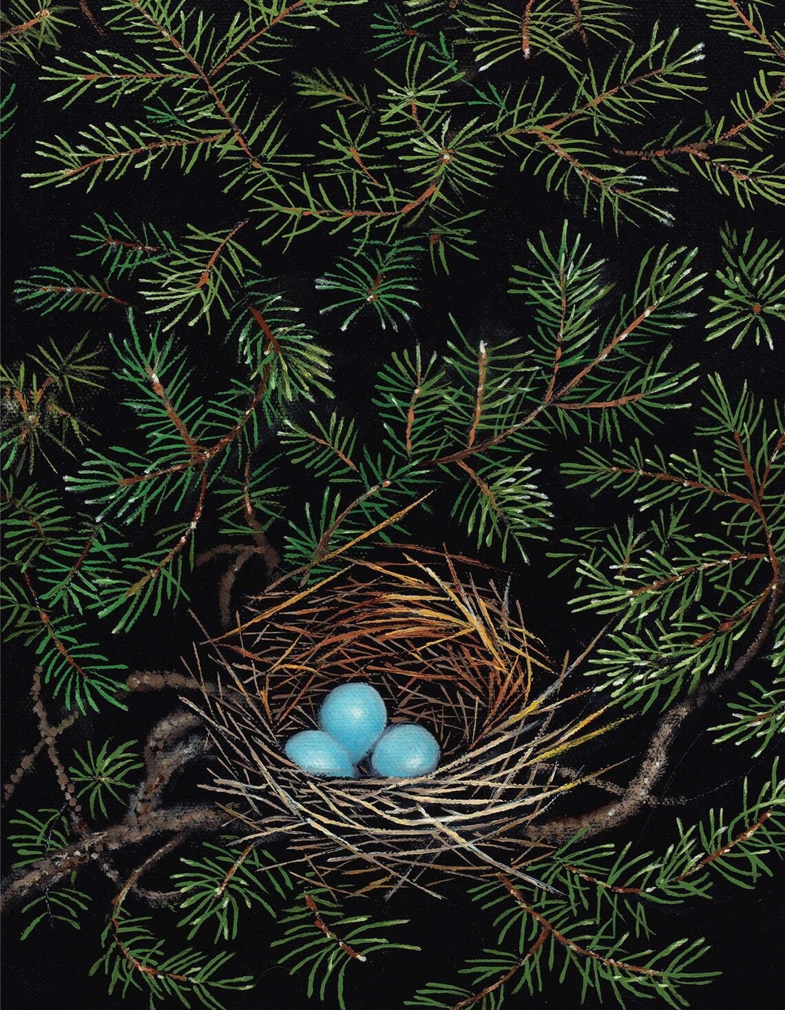 Robin's Eggs Nest Pine Tree - Note Card With Envelope - Tom Lybeck ...