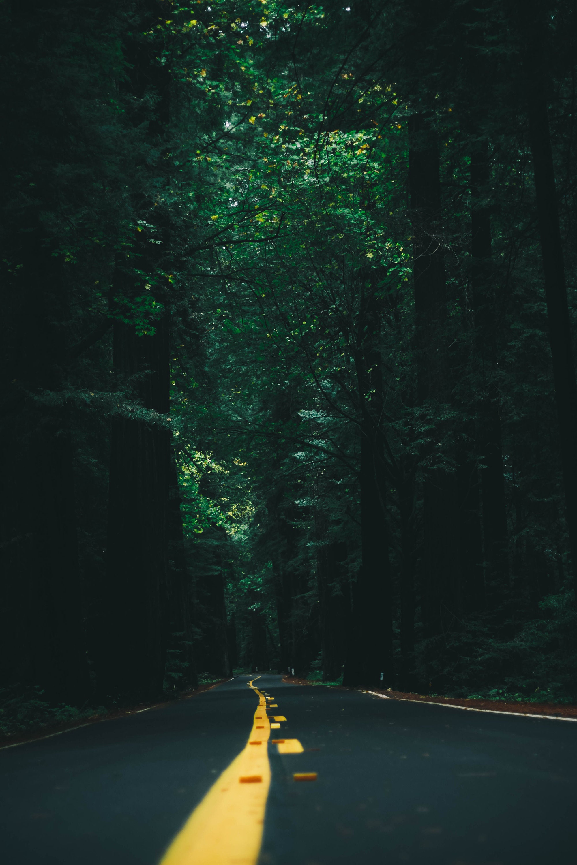 Custom Poem Photo Print Personalized to You - Etsy