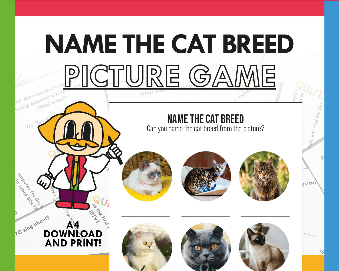 Name That Cat Breed Picture Game | Family Quiz (instant Download) - Etsy
